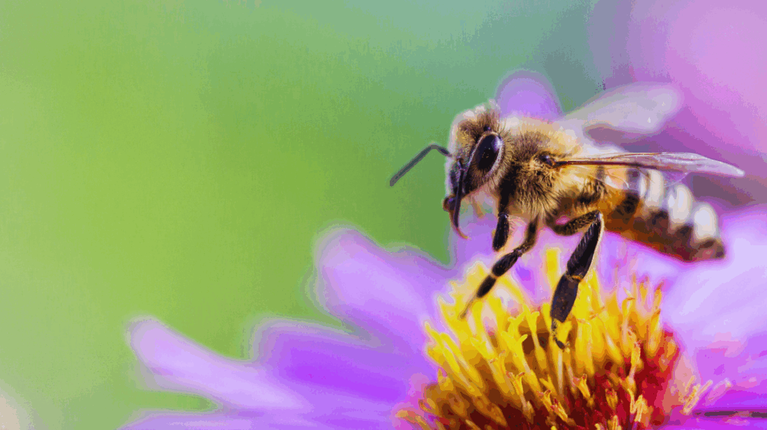 SB 476 Creates New Obligations For Employers Regarding Food Handler ...